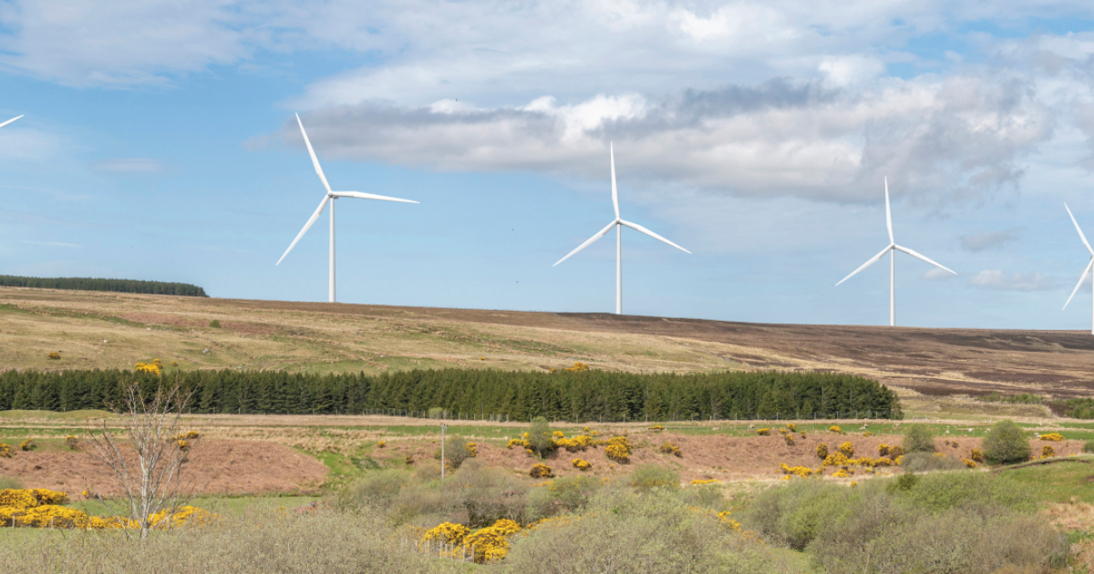 Kirkton Wind Farm Limited | 28th November 2022